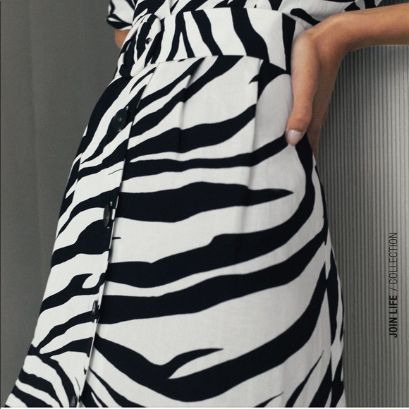 Zara | Dresses | Zara Zebra Animal Print Dress | Poshmark